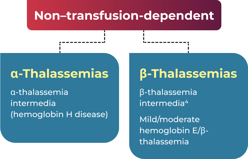 Thalassemia Types
